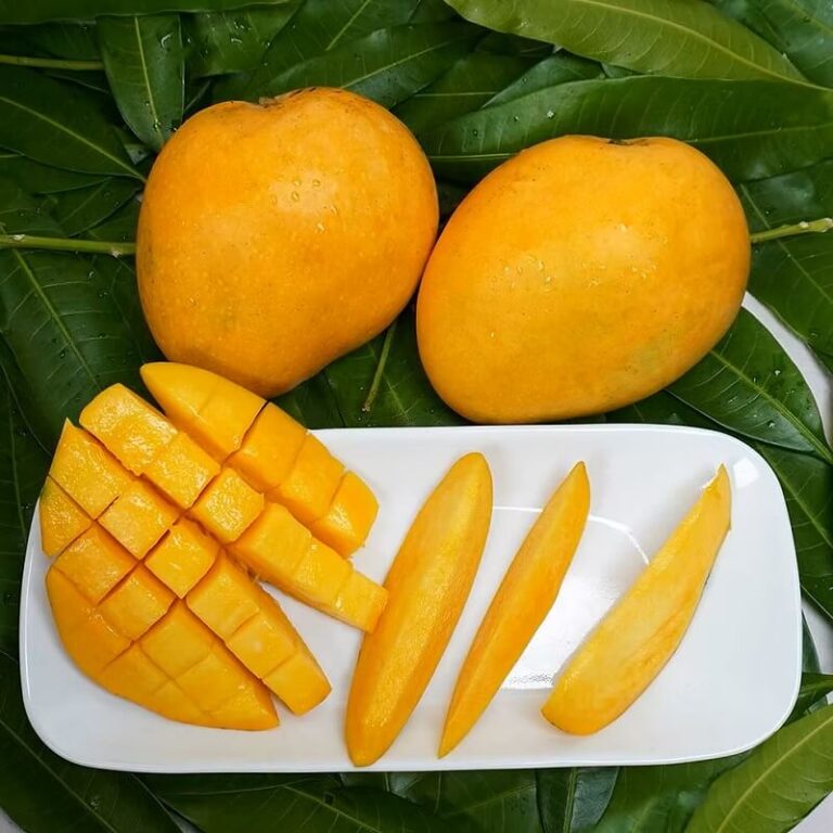 Home - Indian Mangoes